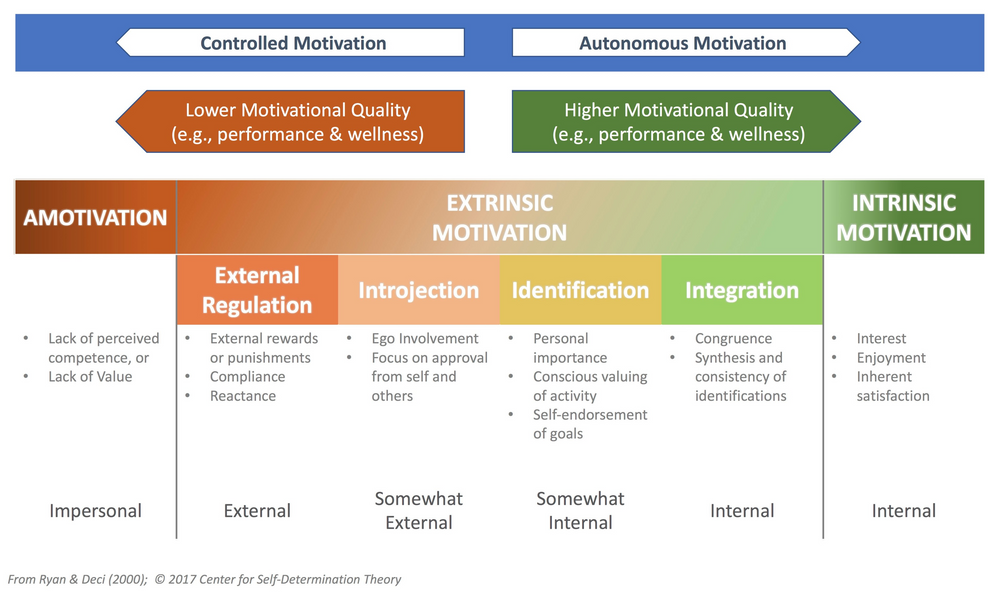 Notes on "Introduction to Self-Determination Theory: An approach to ...